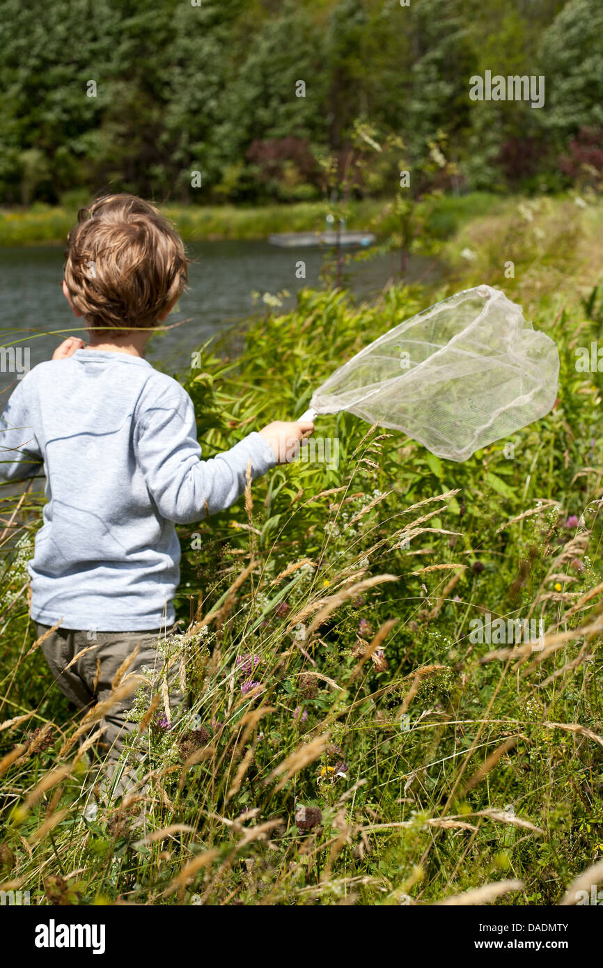 Meadow butterfly hi-res stock photography and images - Alamy