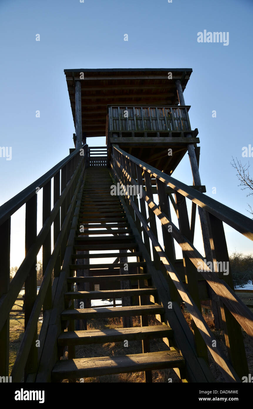 Upstairs to birdwatching tower Stock Photo - Alamy