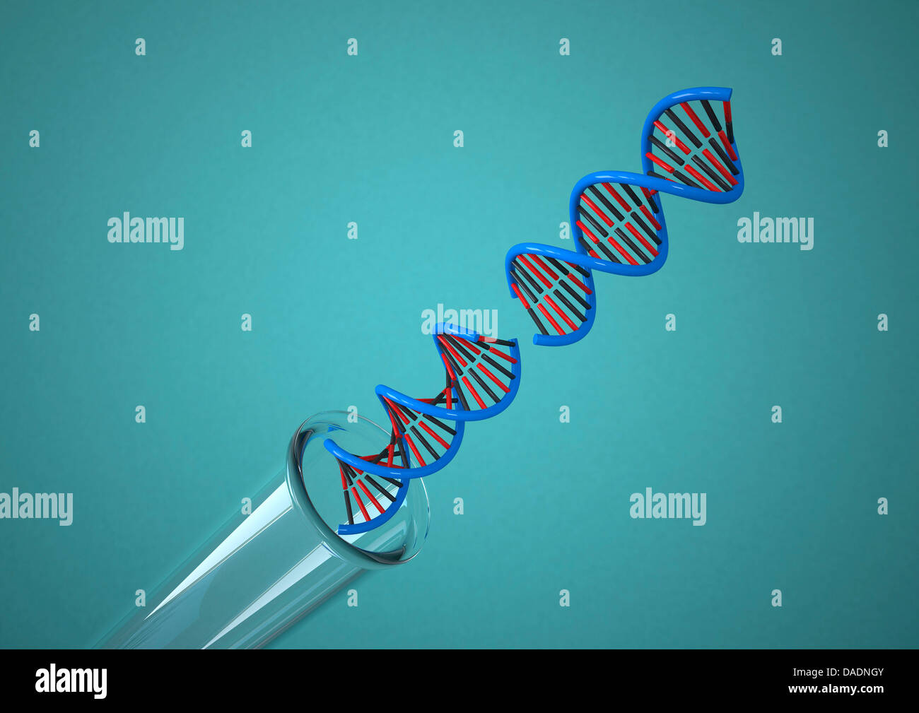 Dna Model High Resolution Stock Photography and Images - Alamy