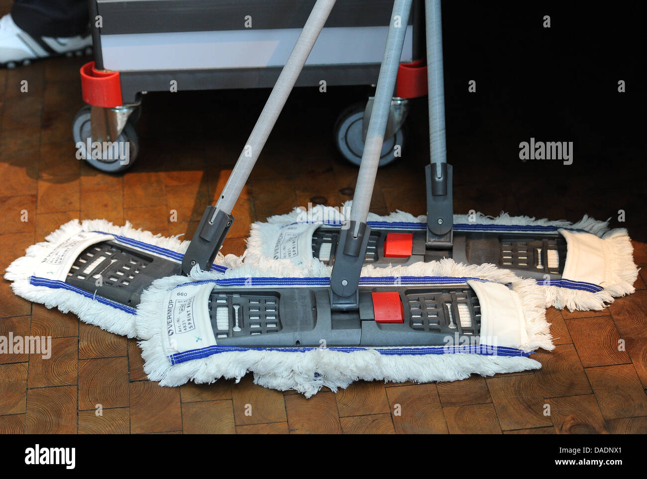 FILE - The archive illustration dated 08 April 2010 shows cleaning mops ...