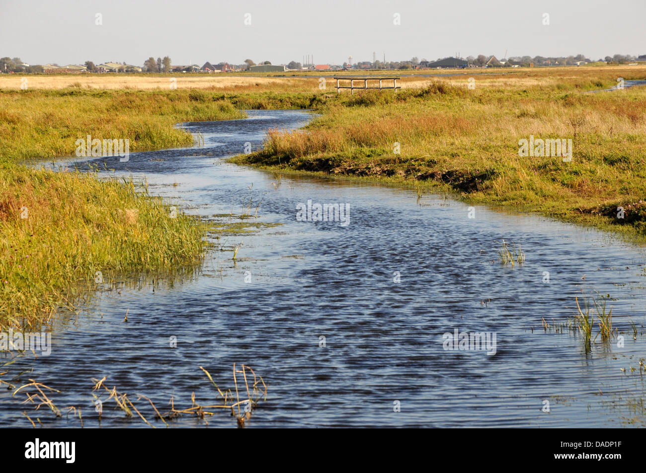 Polder renaturation hi-res stock photography and images - Alamy