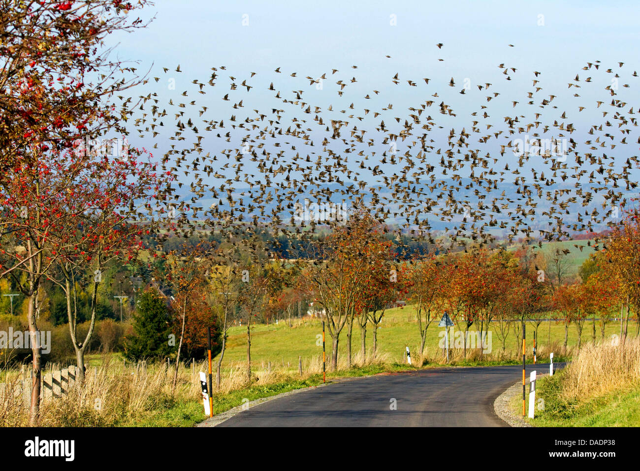 Grumbach hi-res stock photography and images - Alamy