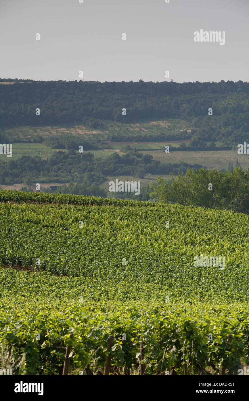 Maranges hi-res stock photography and images - Alamy