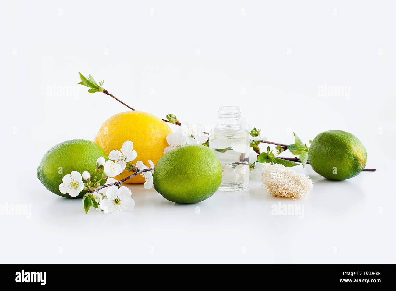 Aromatic still life with blossom lemon and lime Stock Photo - Alamy