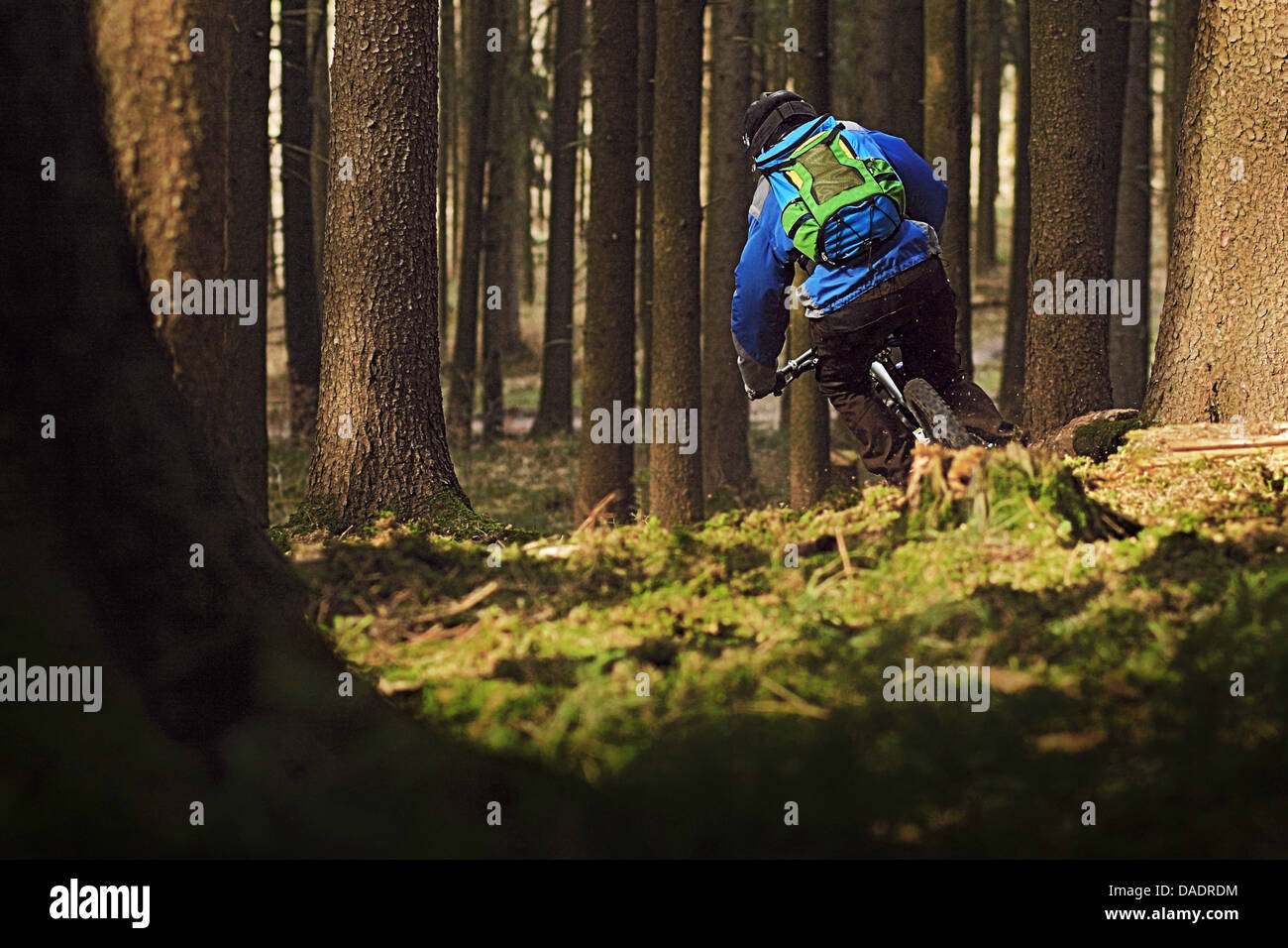 Male mountain biker riding through forest Stock Photo - Alamy