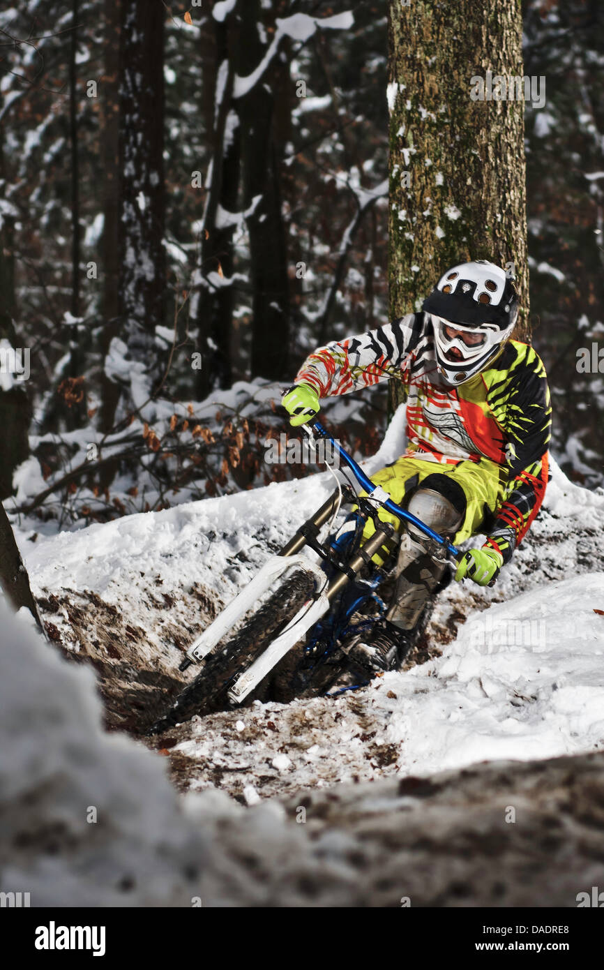 Forest track in hi-res stock photography and images - Alamy