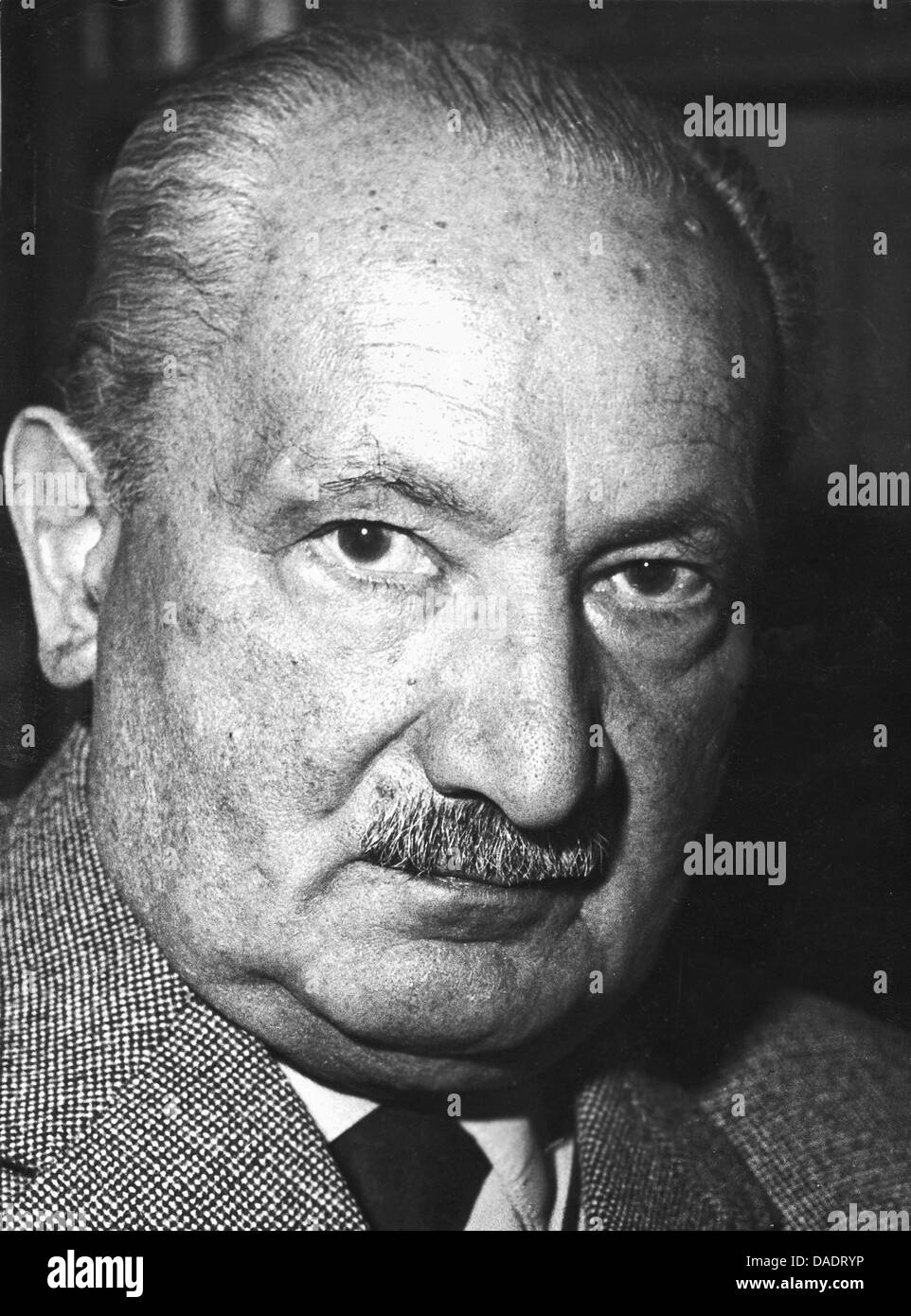 Martin Heidegger Nazism