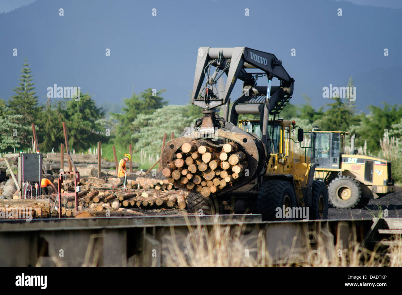 Pile Of Timber High Resolution Stock Photography and Images - Alamy