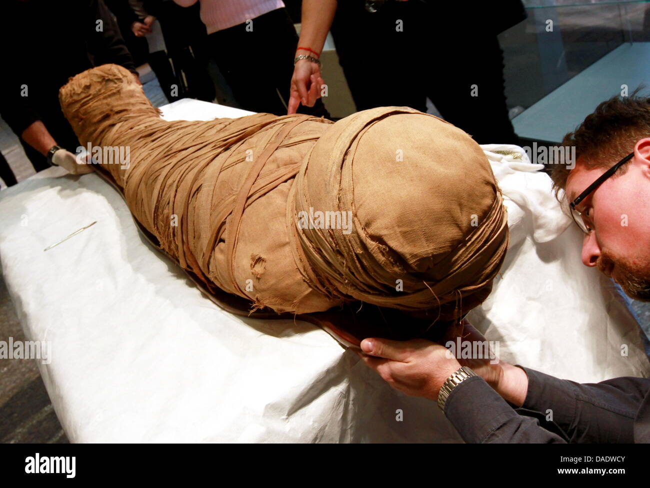 Two employees of the Egyptian Museum in Florence checks the ...