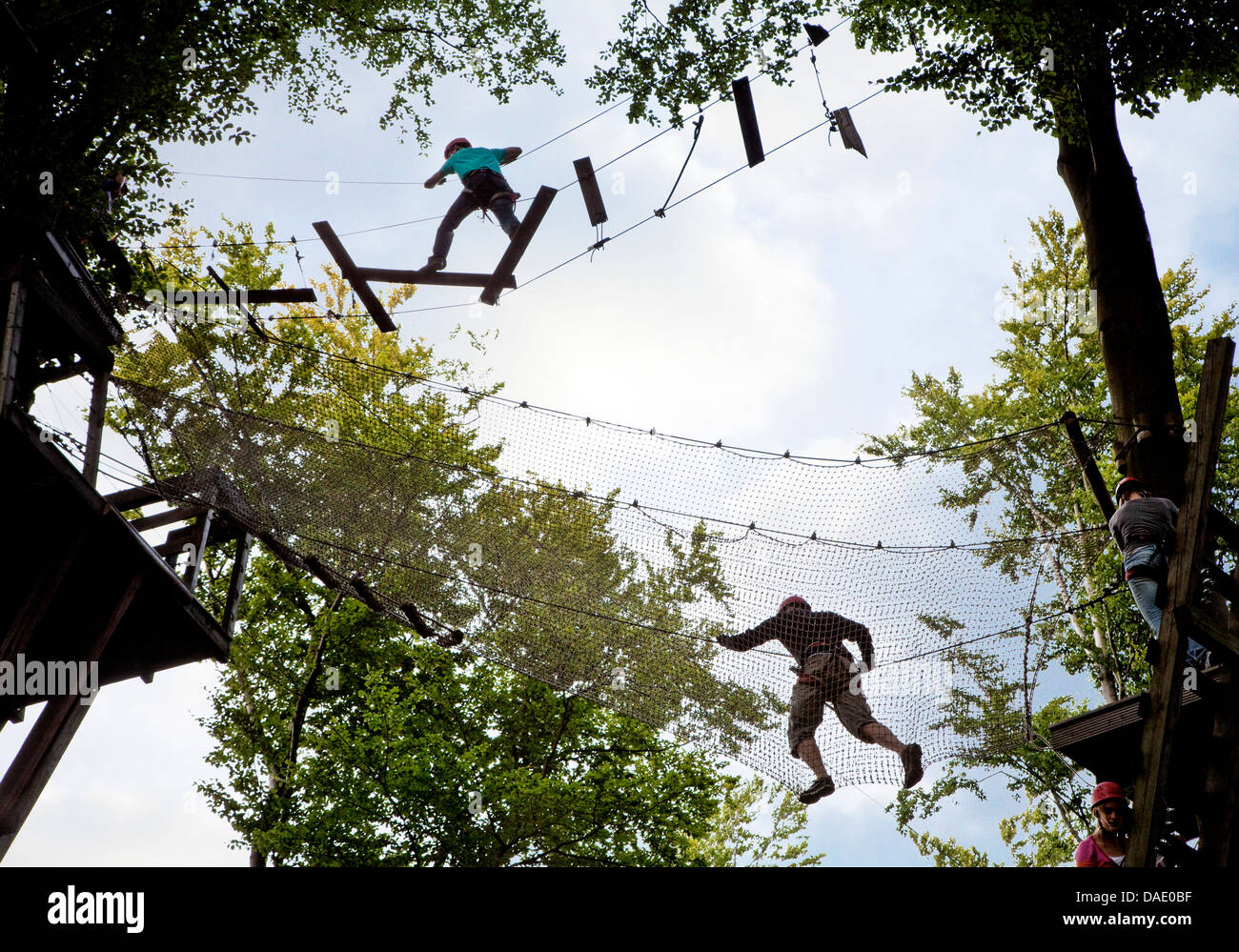 three people climbing in a climbing park, Germany, North Rhine ...
