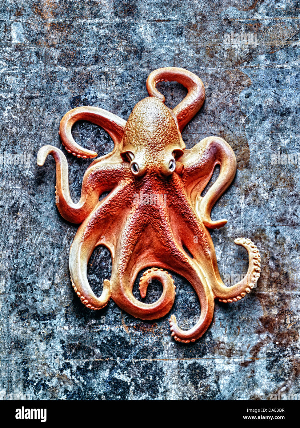 Octopus on rusty background, close up Stock Photo - Alamy