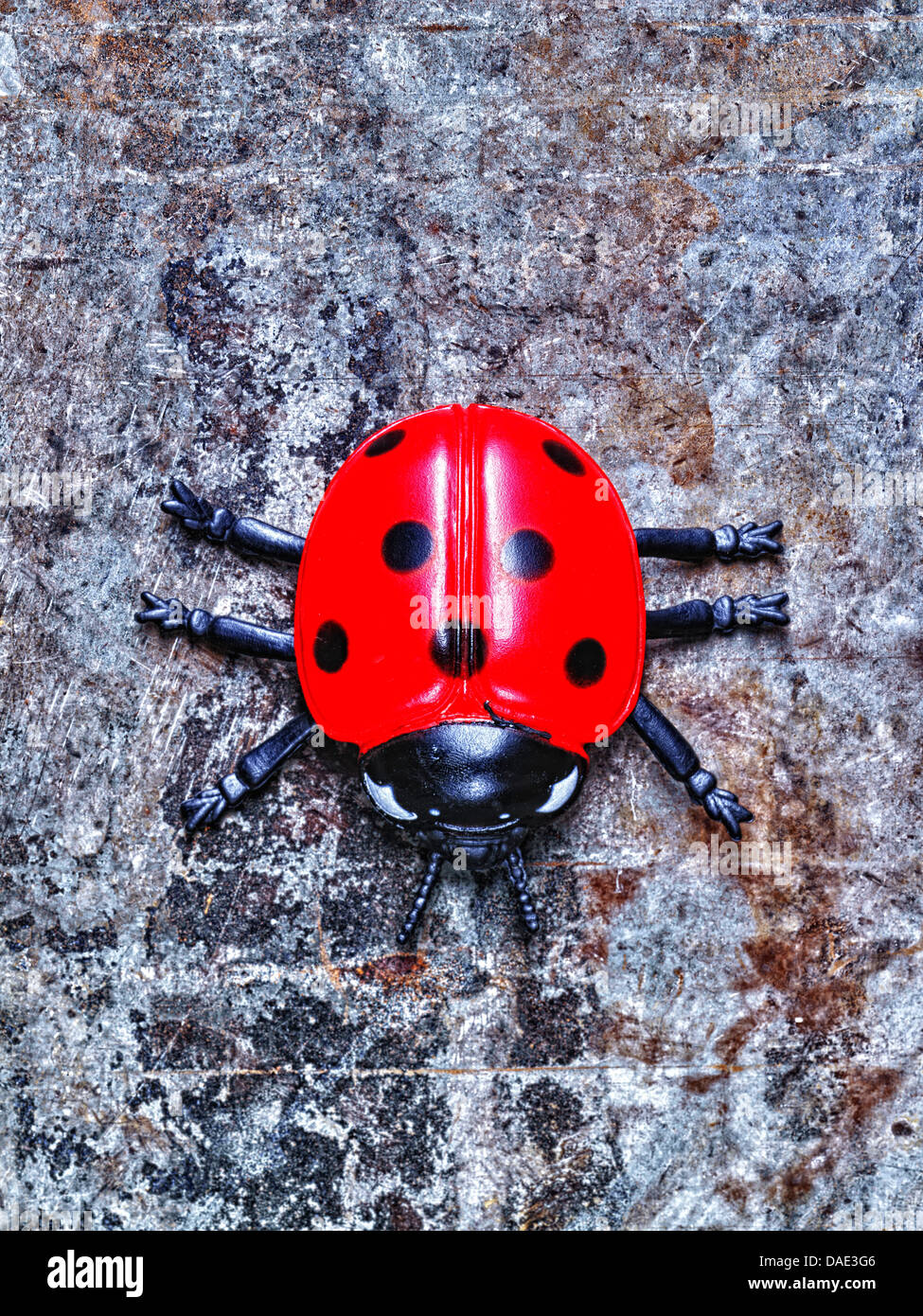 Lady beetle on rusty background, close up Stock Photo - Alamy