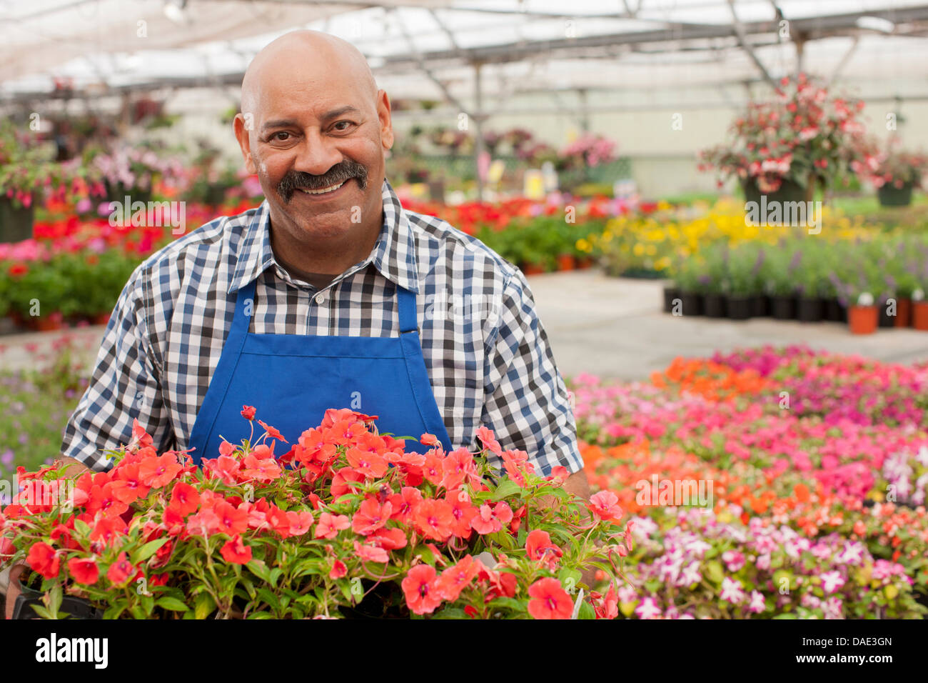 Mature gardener working in garden centre, smiling Stock Photo - Alamy