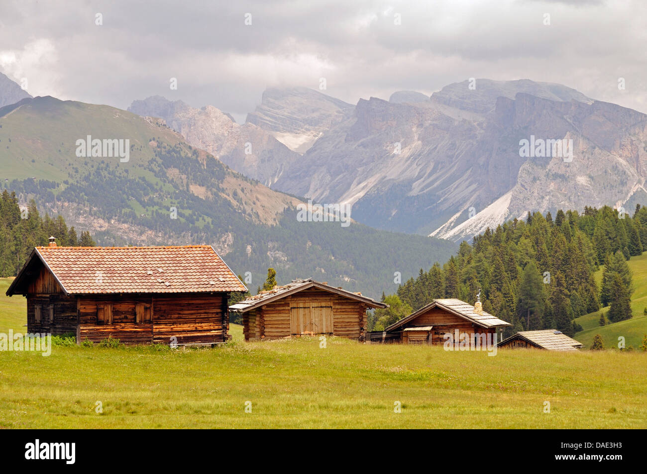 alpine huts on mountain pasture in front of alpine panorama, Italy ...