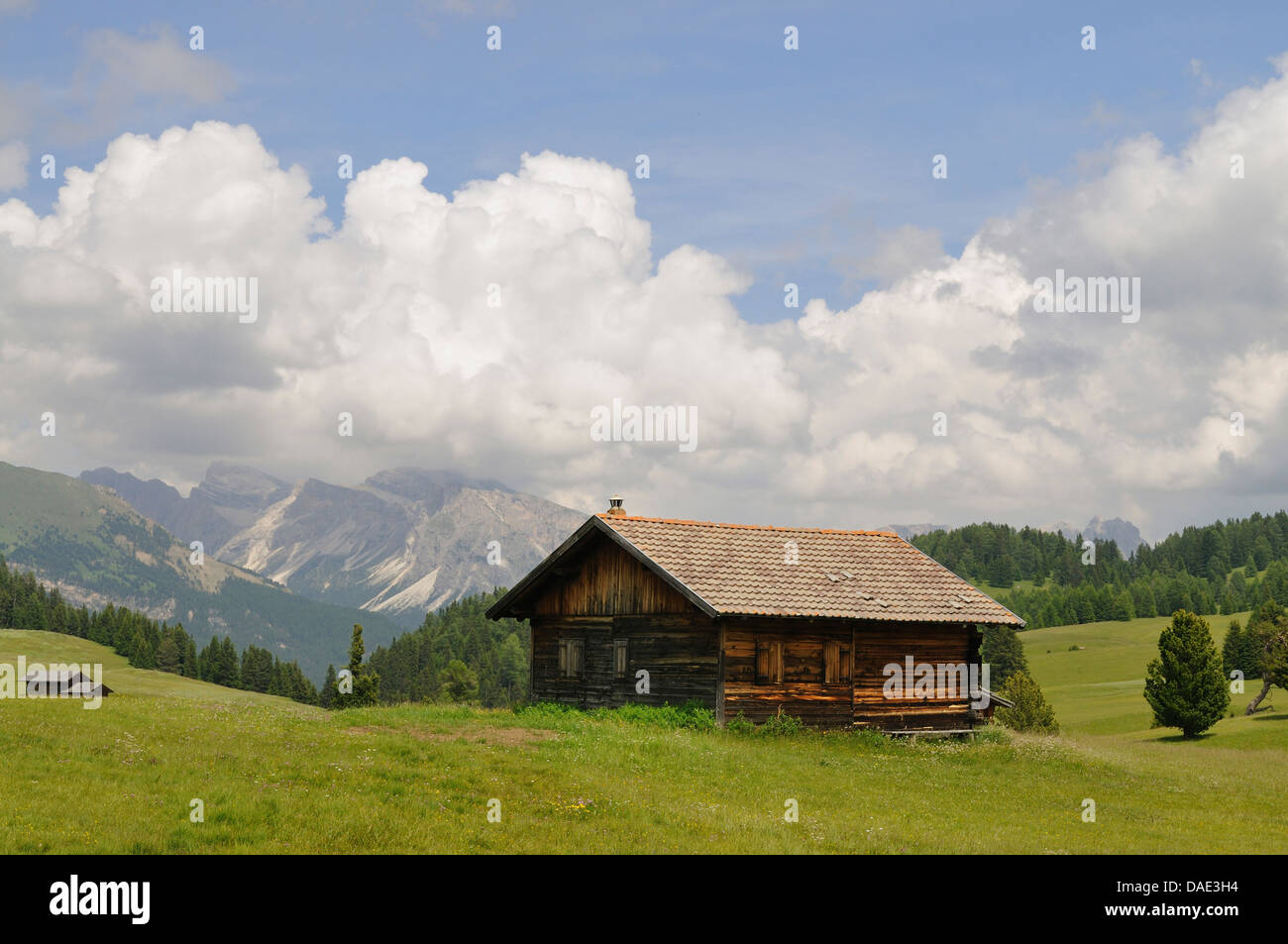 alpine huts on mountain pasture in front of alpine panorama, Italy ...
