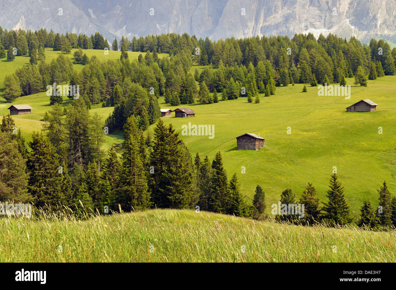 Wooden huts on alpine hi-res stock photography and images - Alamy