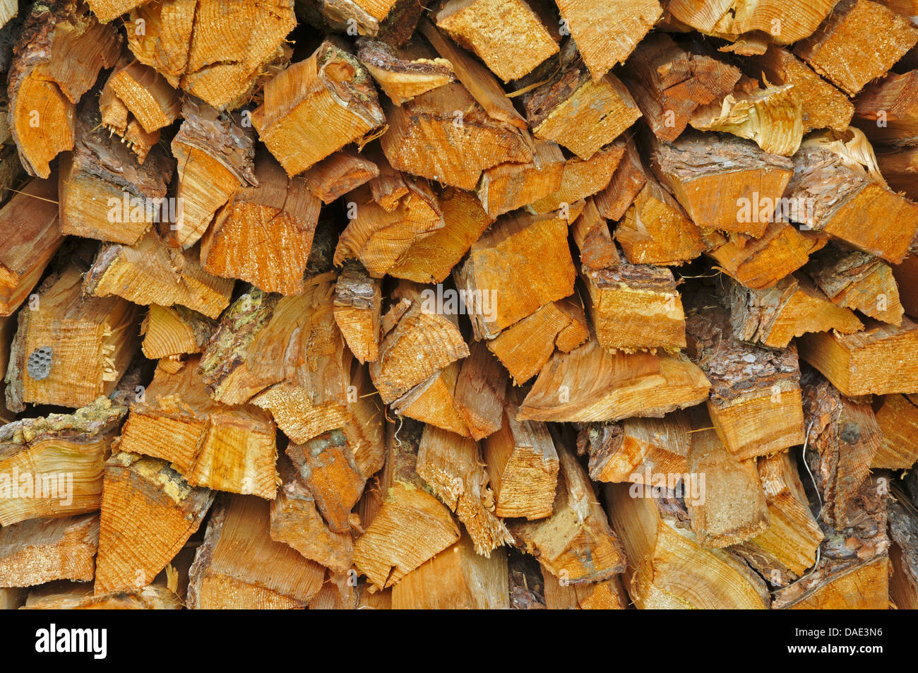 Fuelwood High Resolution Stock Photography and Images - Alamy