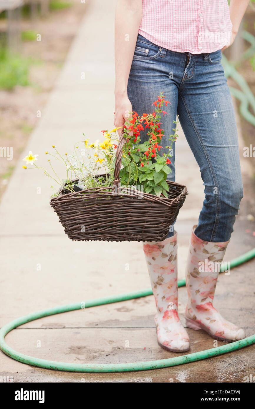 Mid adult woman carrying basket of flowers in garden centre, low ...