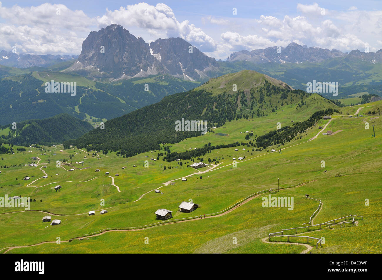 lots of alpine huts on mountain pasture in front of alpine panorama ...
