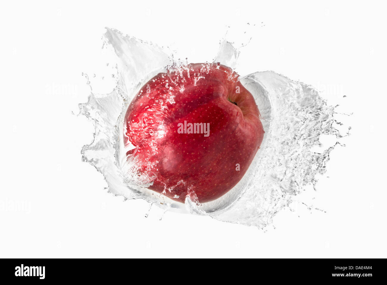 Apple red in white hi-res stock photography and images - Alamy