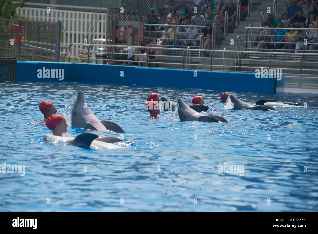 Spanish synchronized swimming team High Resolution Stock Photography ...