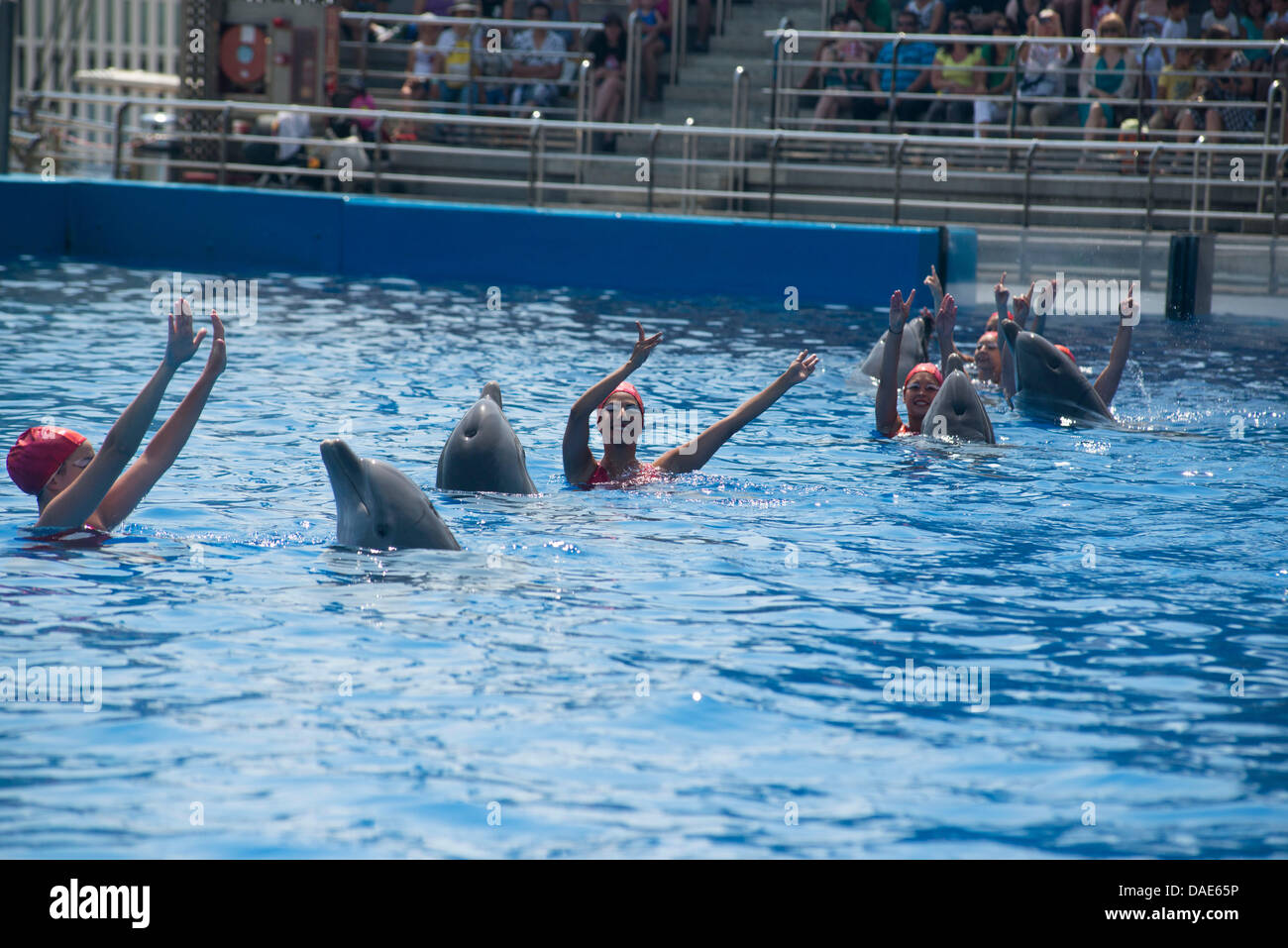 Spanish synchronized swimming team High Resolution Stock Photography ...
