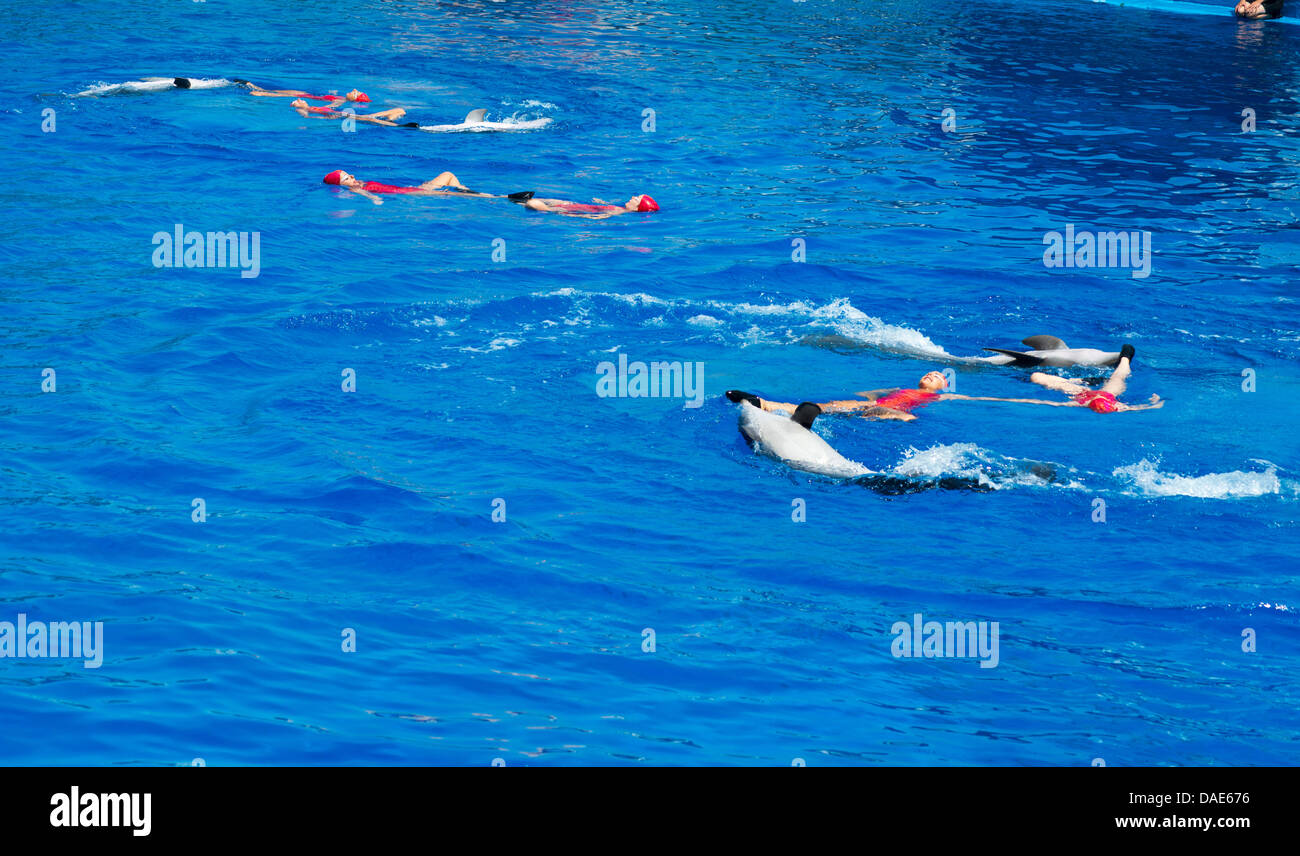 Spanish synchronized swimming team hi-res stock photography and images ...