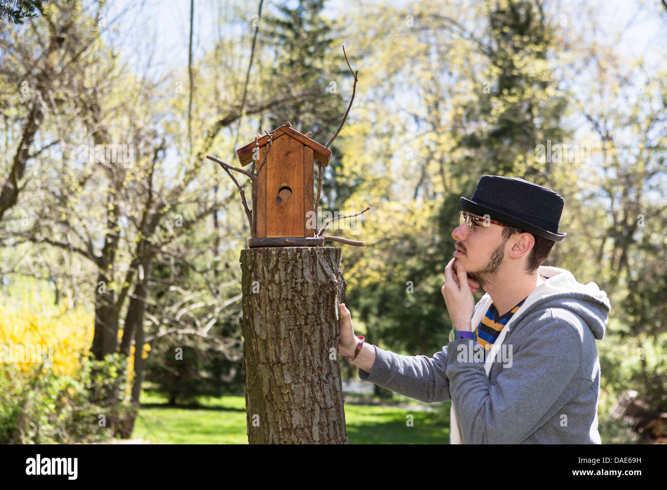 Man looking at birdhouse with hand on chin Stock Photo - Alamy