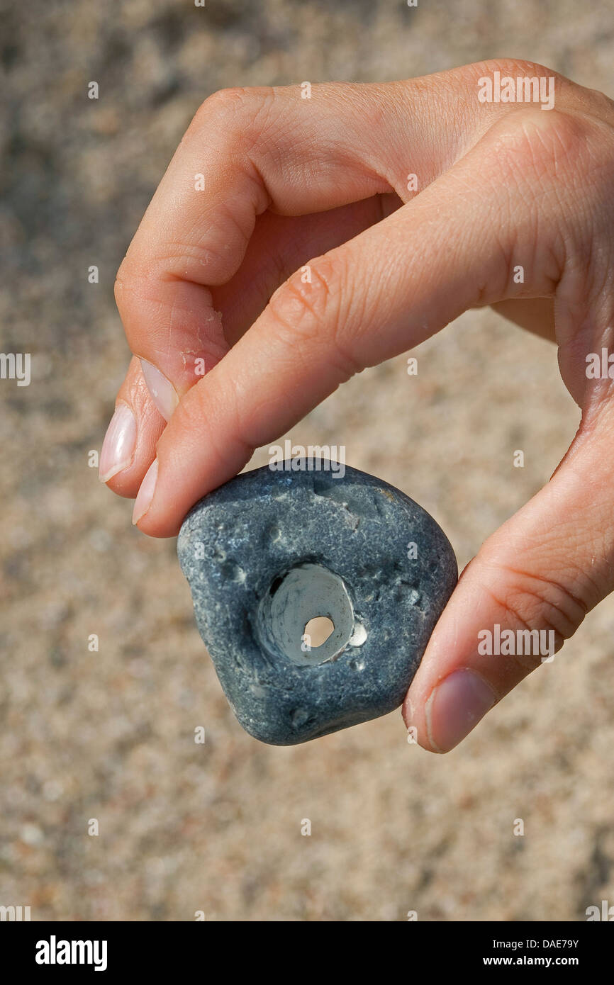 Adder stone hi-res stock photography and images - Alamy