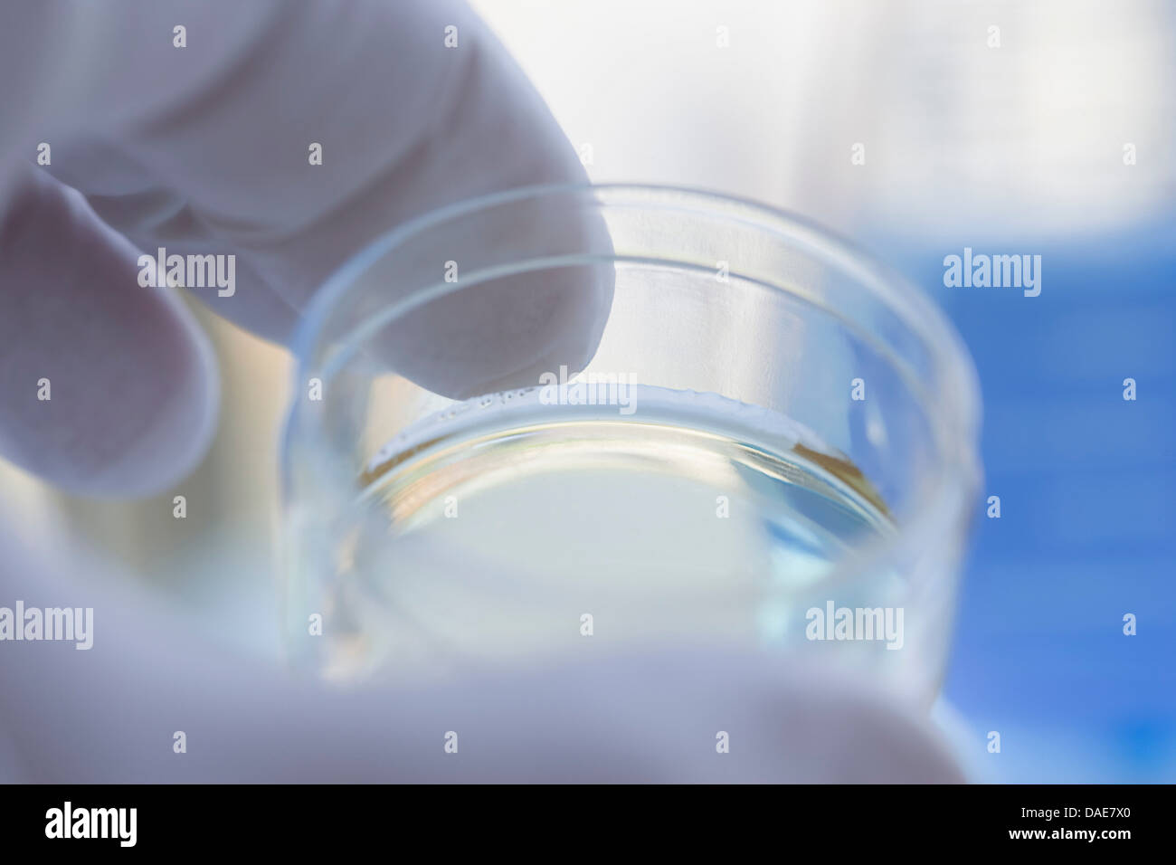 Scientist with liquid sample in container Stock Photo - Alamy