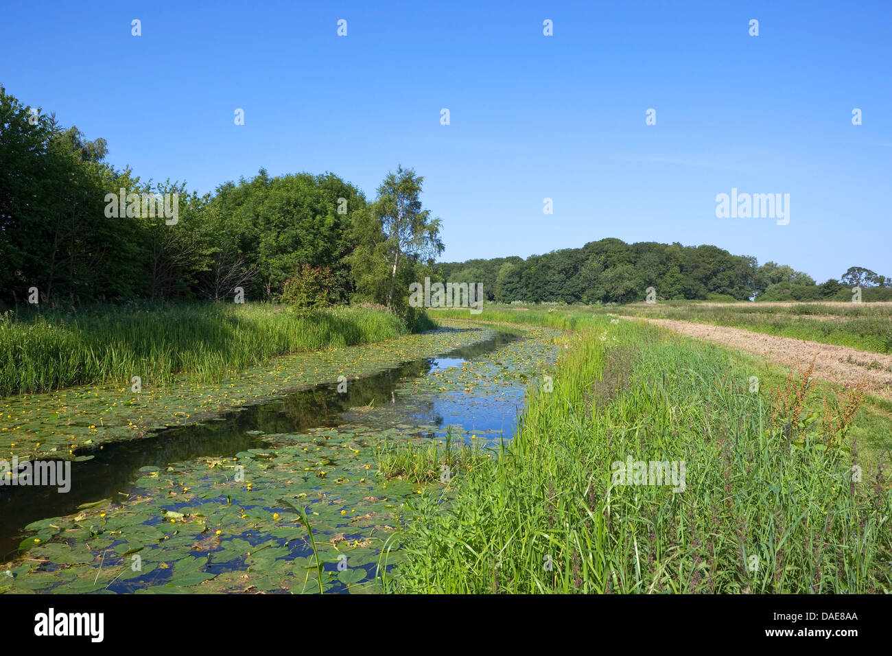Waterways landscape hi-res stock photography and images - Alamy