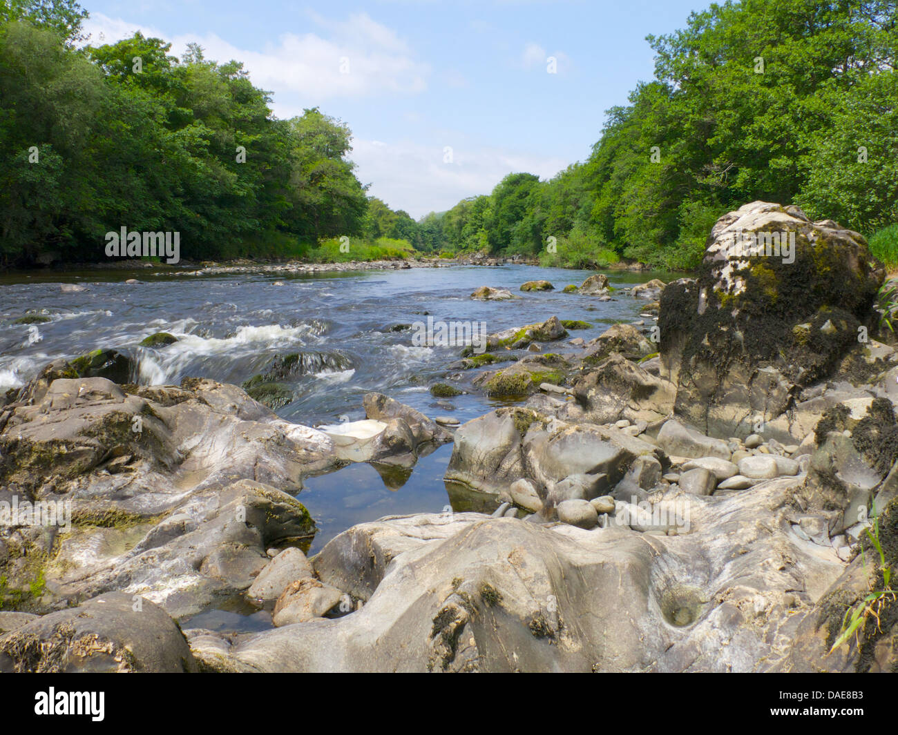 Nith valley dumfries hi-res stock photography and images - Alamy