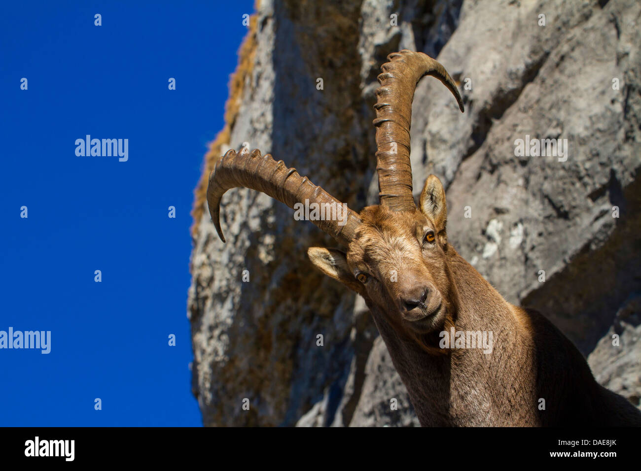 Alpine wall hi-res stock photography and images - Alamy