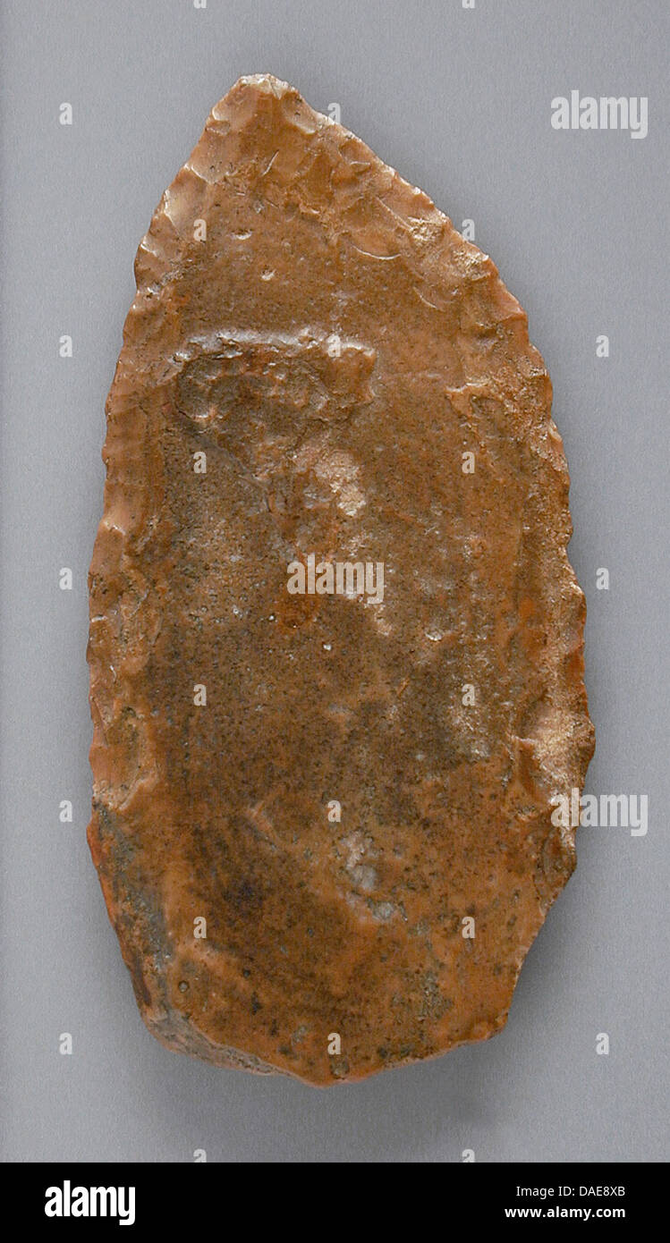 This bifacial stone tool, crafted by early humans, showcases ...