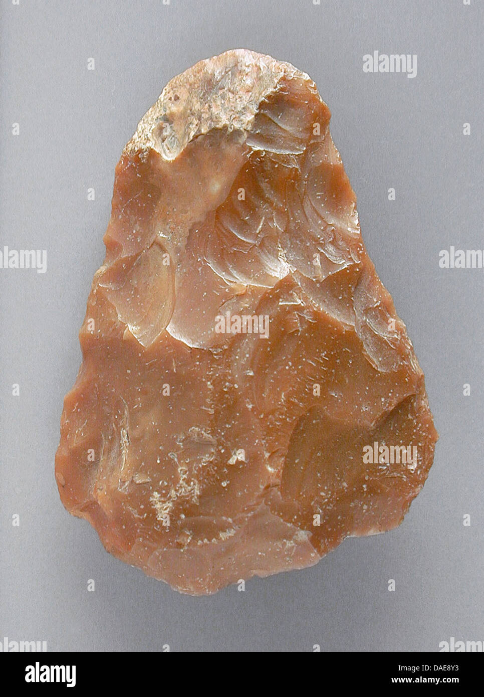 This bifacial stone tool is a prehistoric artifact, demonstrating early ...