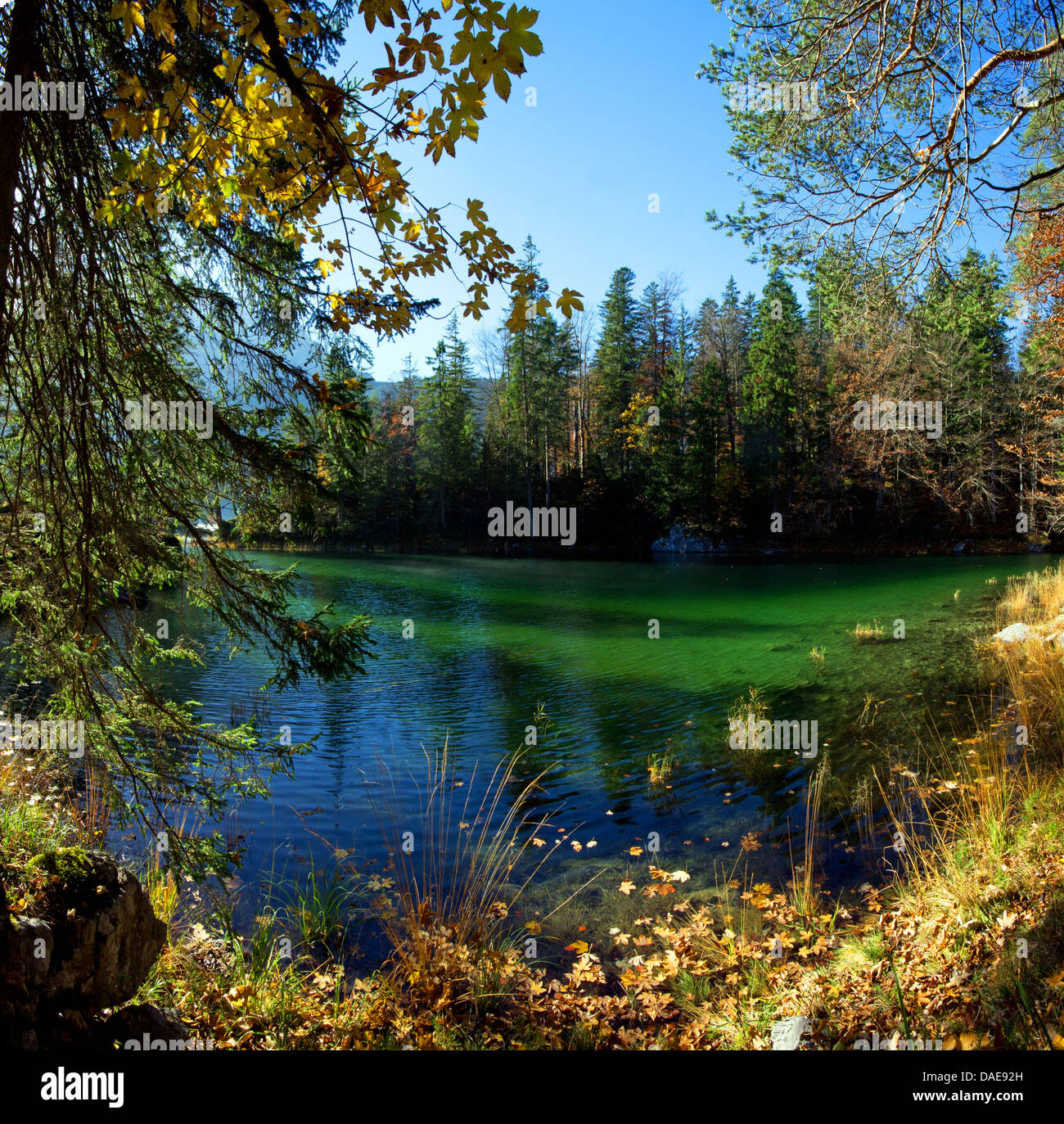 Eibsee in autumn, Germany, Bavaria, Oberbayern, Upper Bavaria Stock ...