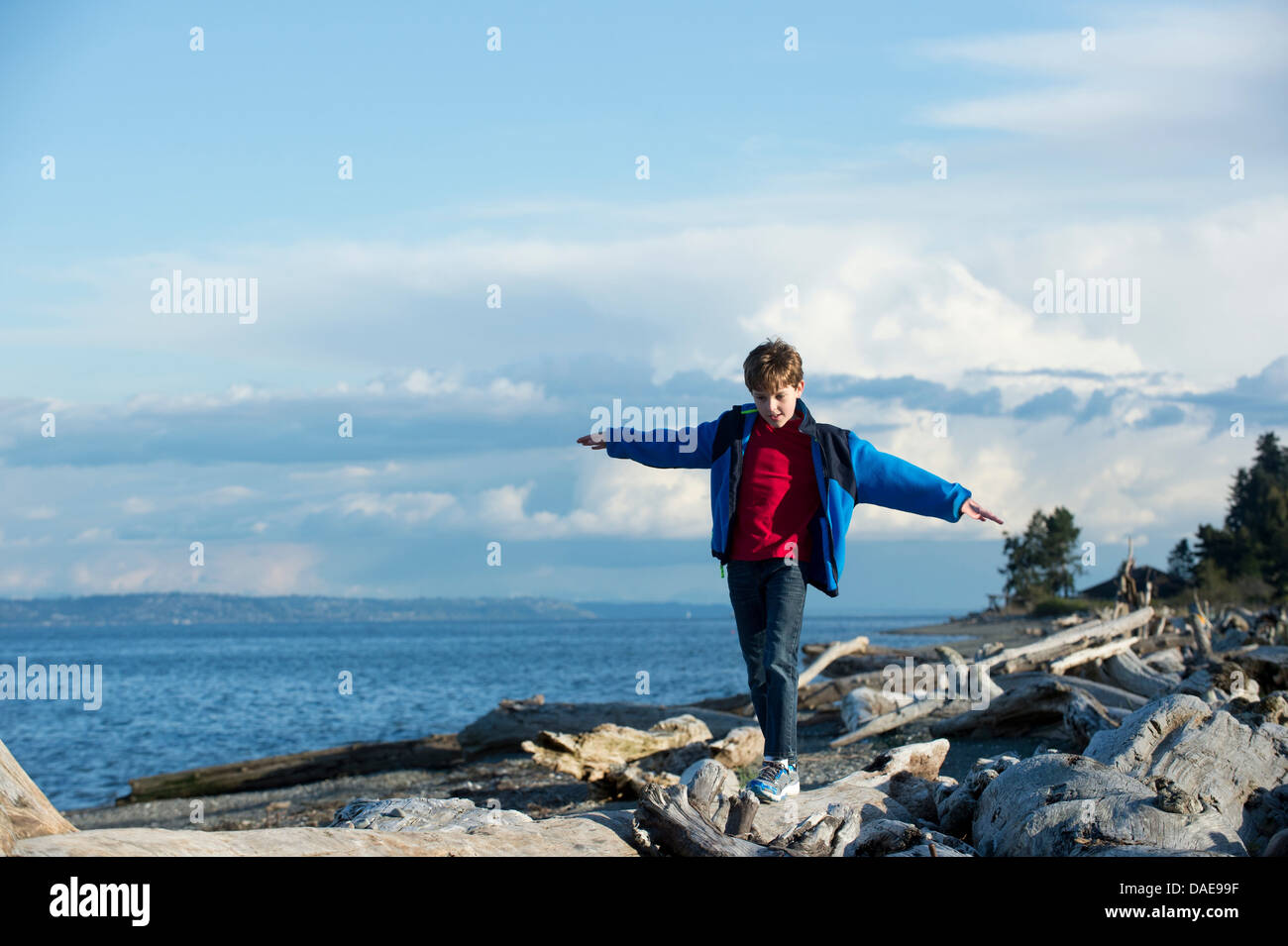 Tree trunk on the front hi-res stock photography and images - Alamy
