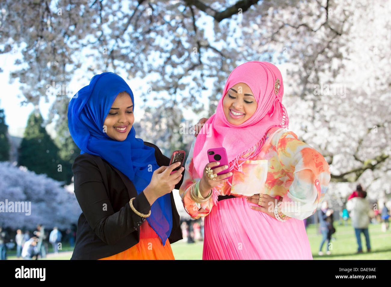 Checking Connections High Resolution Stock Photography and Images - Alamy