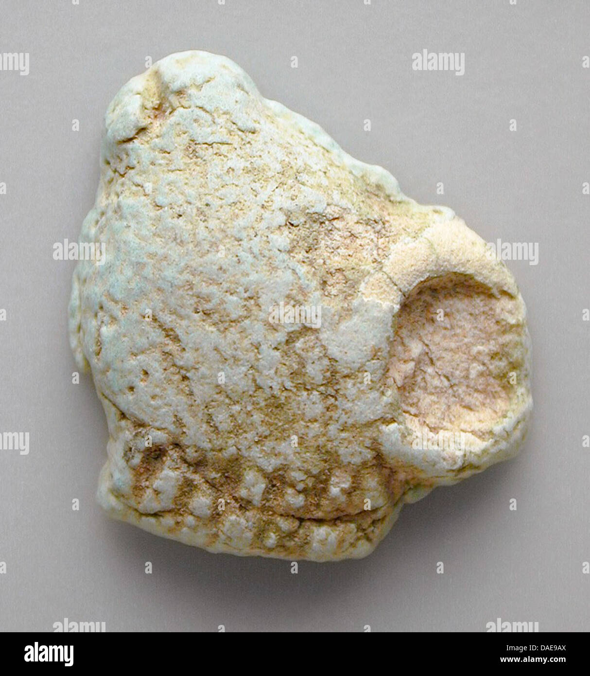 This bull head amulet, made from bronze, symbolizes strength and power ...