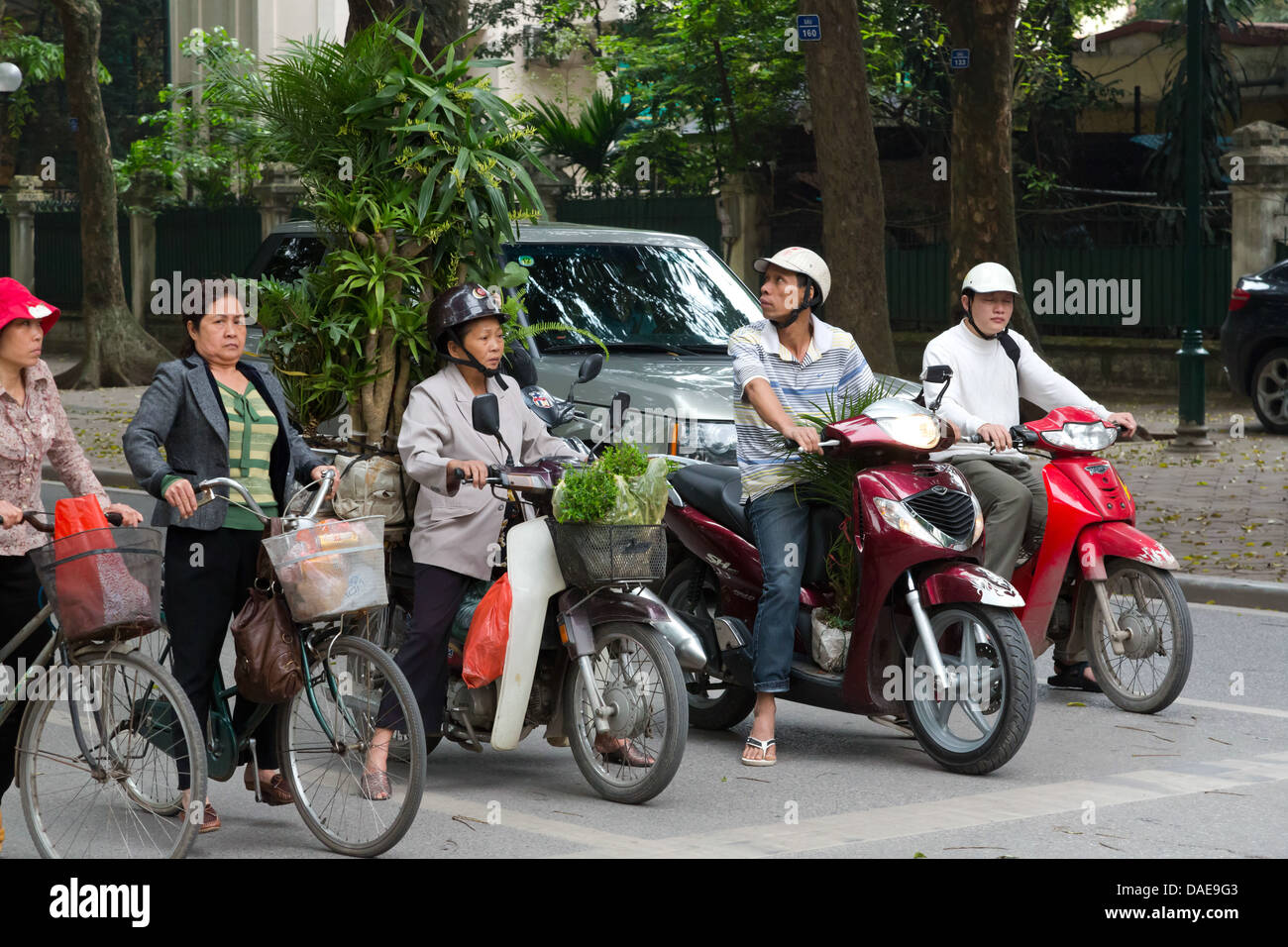 Scooter Drivers in Hanoi, Vietnam Stock Photo - Alamy