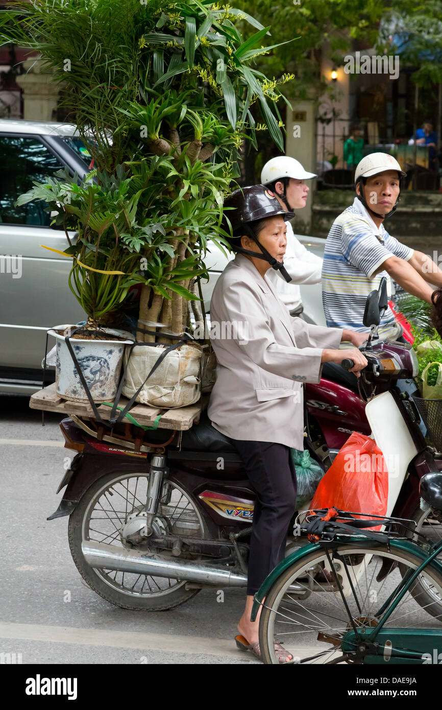 Scooter Drivers in Hanoi, Vietnam Stock Photo - Alamy