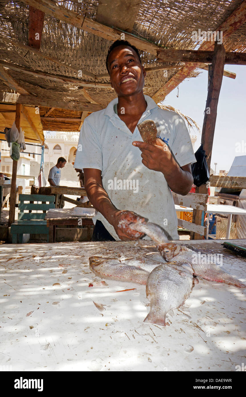 fish monger at the fish market, Egypt, Hurghada Stock Photo - Alamy