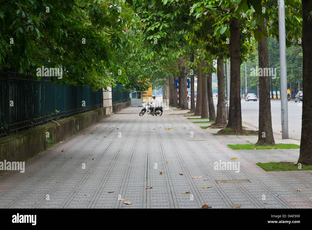 Tree Lined Boulevard in Hanoi, Vietnam Stock Photo - Alamy