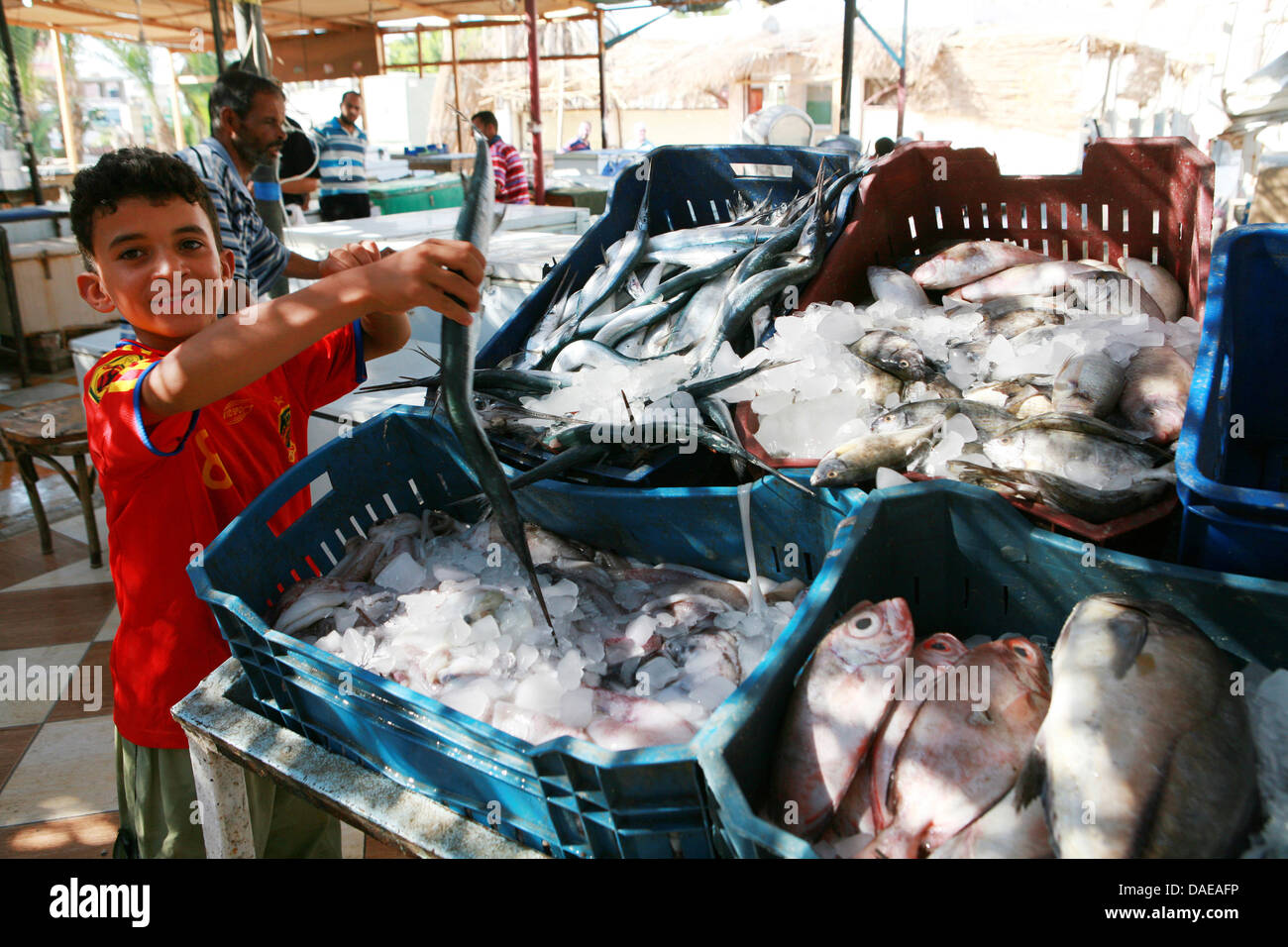 little boy proudly presenting fish at the fish market, Egypt, Hurghada ...