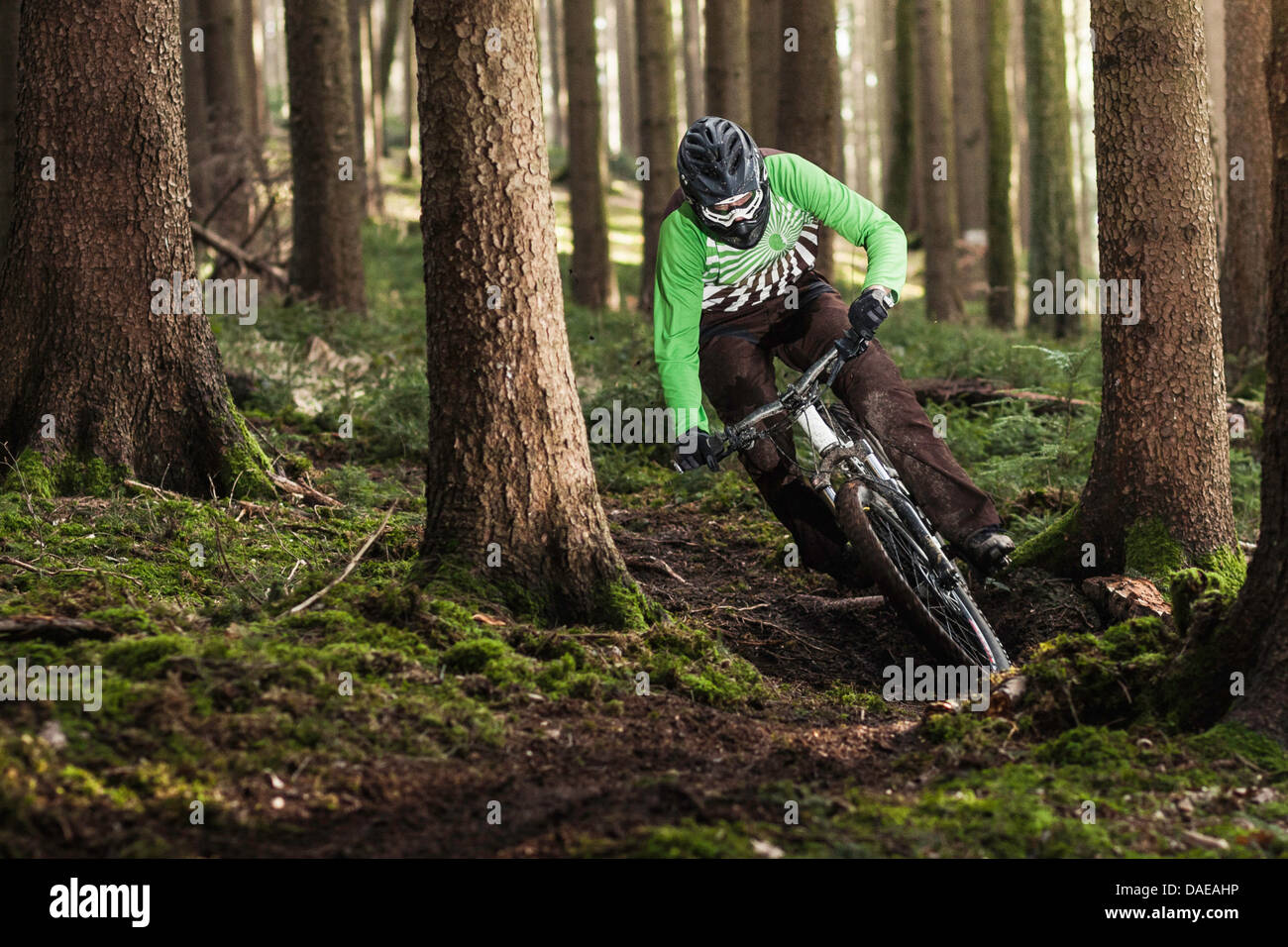 Mountain bike track through trees hi-res stock photography and images ...