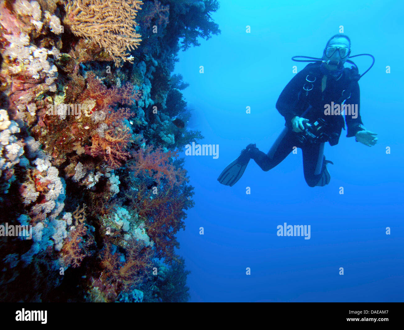 Scuba divers faces hi-res stock photography and images - Alamy