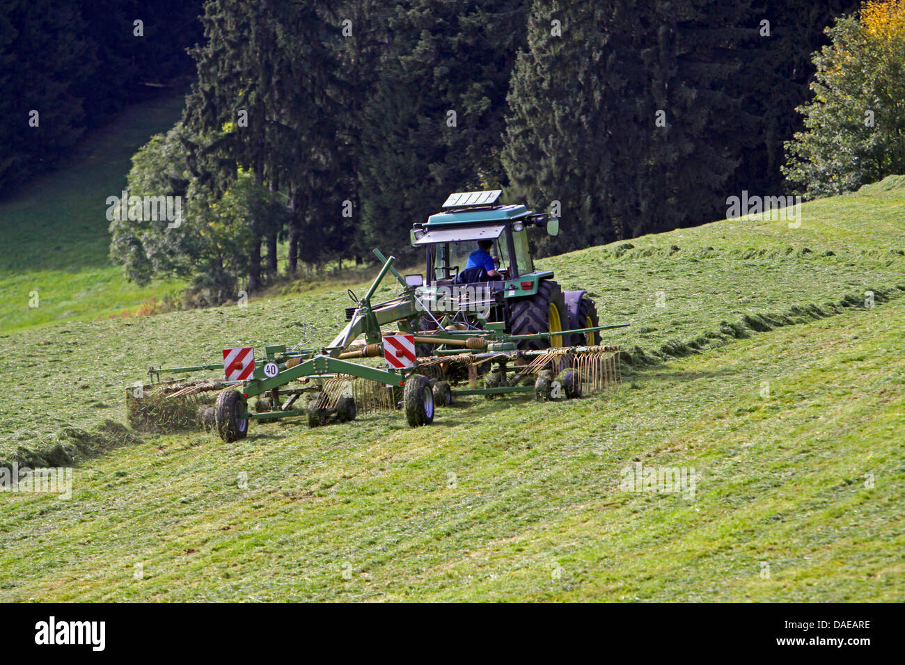 farmer turning hay on mountain meadow, Germany, Bavaria, Eisenberg ...