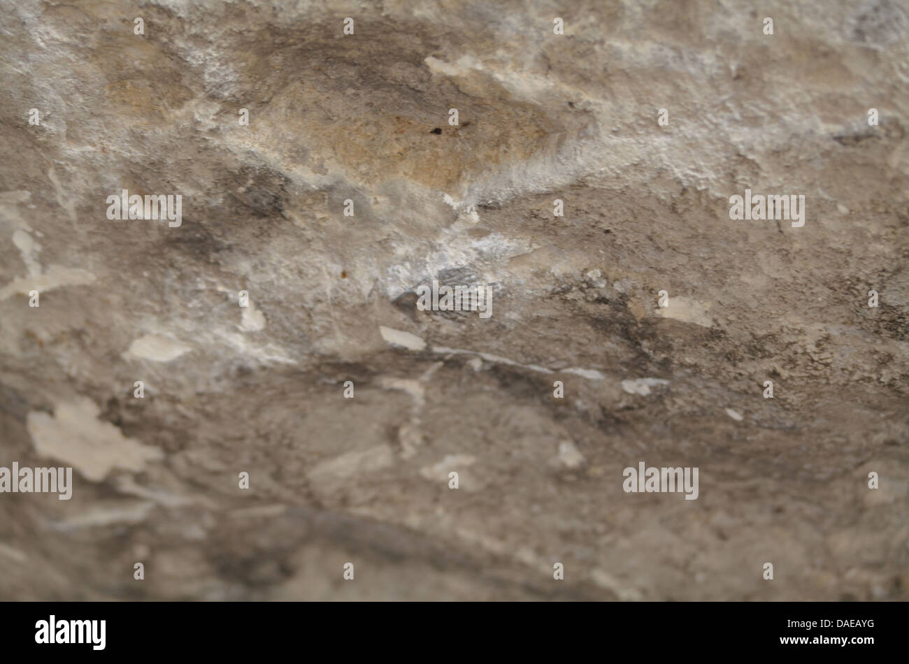 Roman shrines and temples hi-res stock photography and images - Alamy