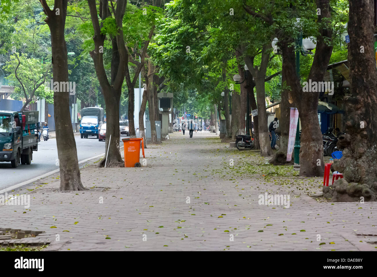 Tree Lined Boulevard in Hanoi, Vietnam Stock Photo - Alamy