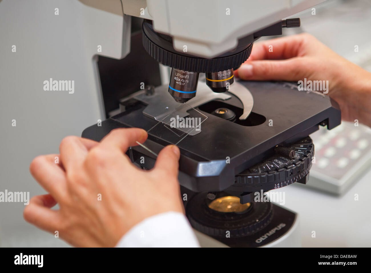 Performing microbiological lab tests with a microscope Stock Photo - Alamy